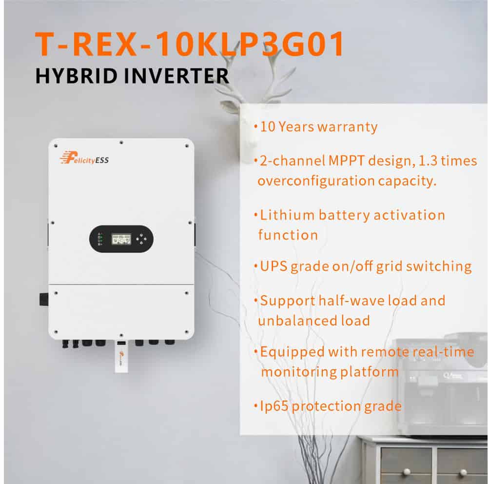 Installation Tutorial for T-REX-10KLP3G01 Inverter